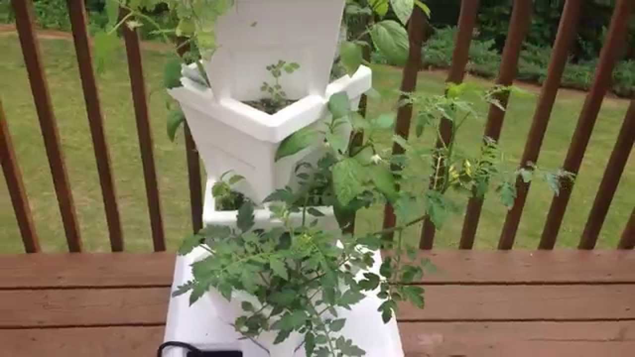 Magic Tower Pro Garden Hydroponics - YouTube