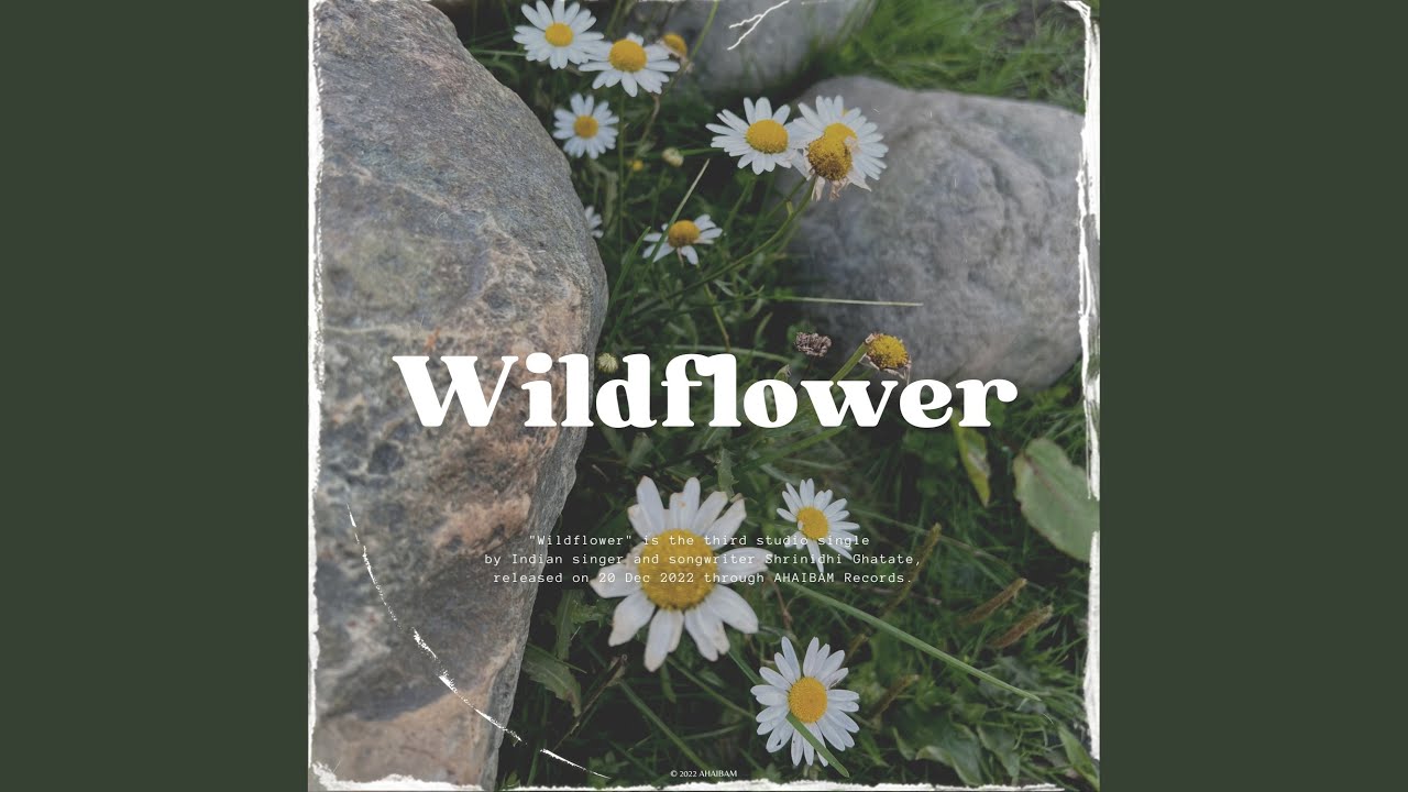 Wildflower - YouTube
