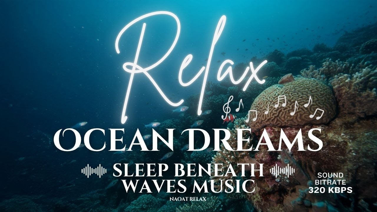 Relax Ocean Dreams – หลับใต้คลื่นเสียงแห่งความสงบ (Sleep Beneath Waves ...