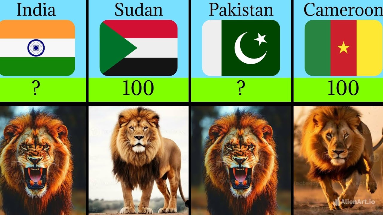 Lion population by country | lion population by country 2025 | lion ...