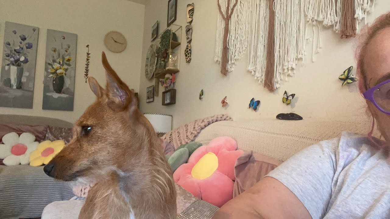 Quick life update - YouTube