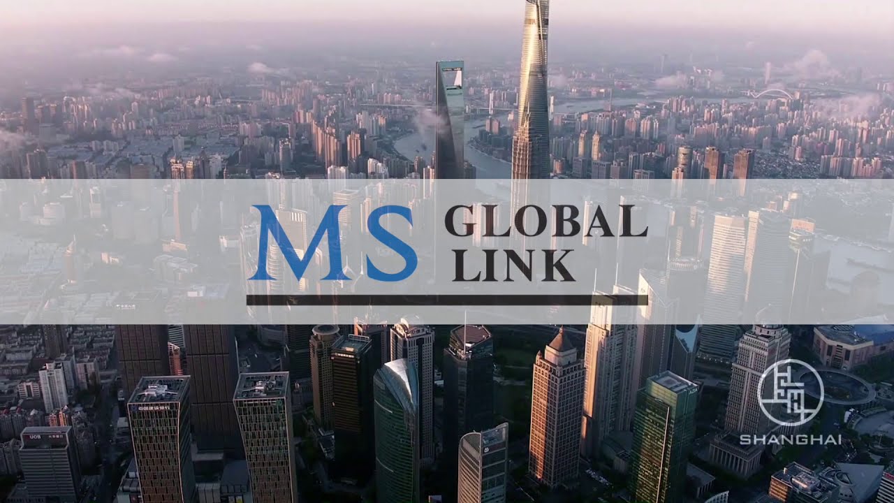MS Global Link - Video Institucional - YouTube