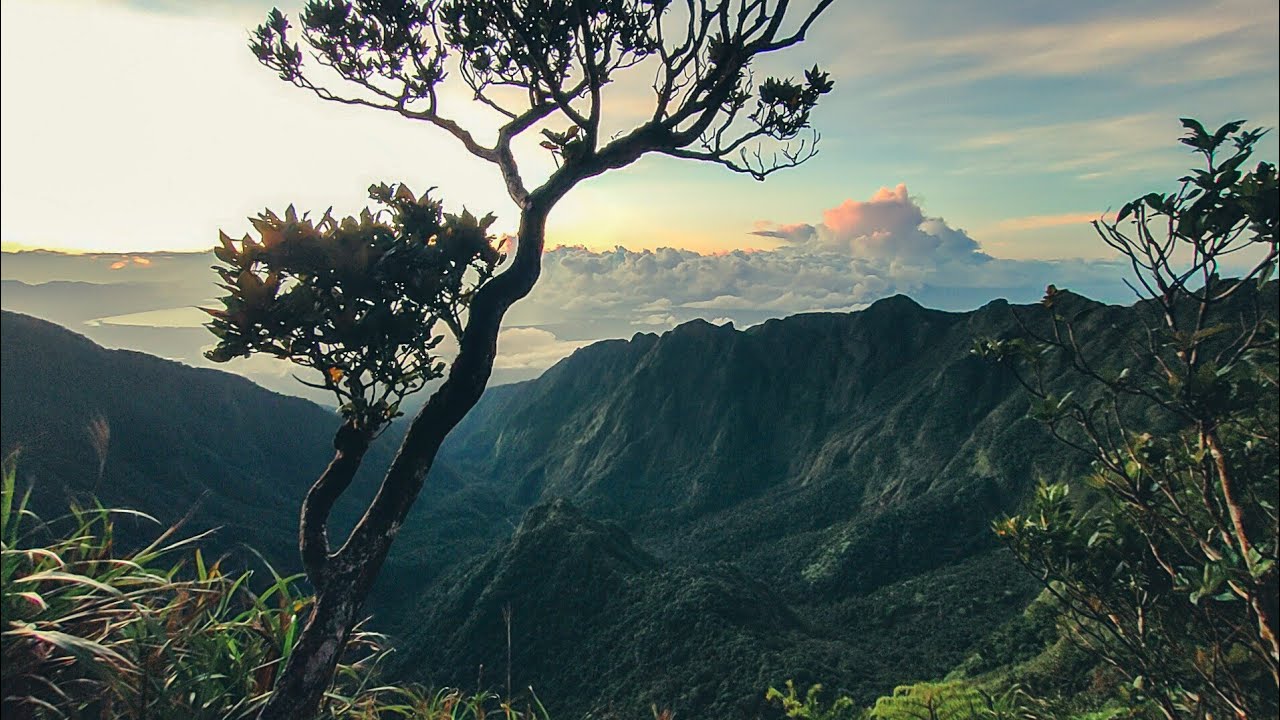 Mt. Isarog Climb (Panicuason Trail) - YouTube