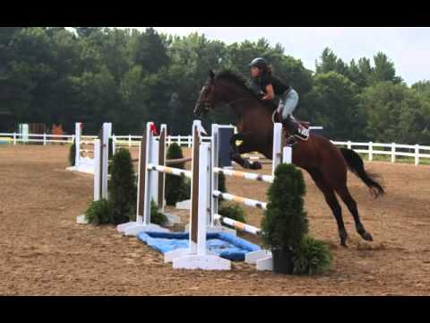 1 Midnight Moon Stables - YouTube