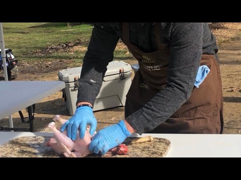 HOW To Process Chickens EASY STEP BY STEP For Beginners! - YouTube