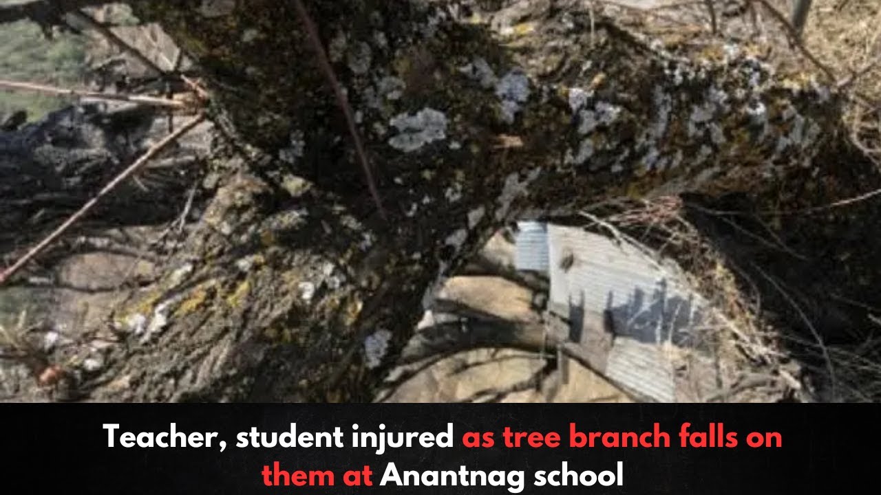 Teacher, student injured as tree branch falls on them at Anantnag ...