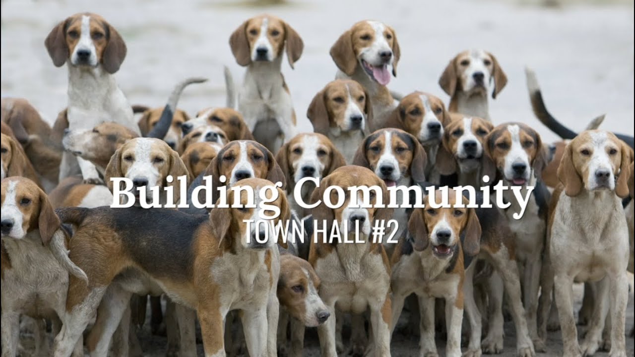 Andrew Fenton, Associate Professor, Dalhousie University - The Beagle ...
