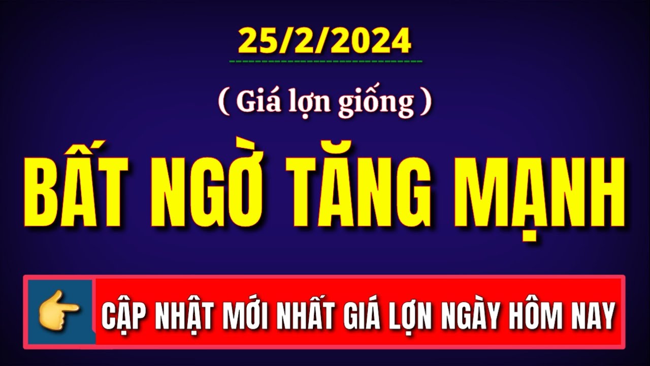 Giá heo hơi ngày hôm nay 25/2/2024 || Giá lợn giống bất ngờ tăng mạnh, MT giá lợn thịt tiếp tục ...