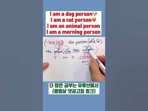 I am a dog person🐶#shorts - YouTube