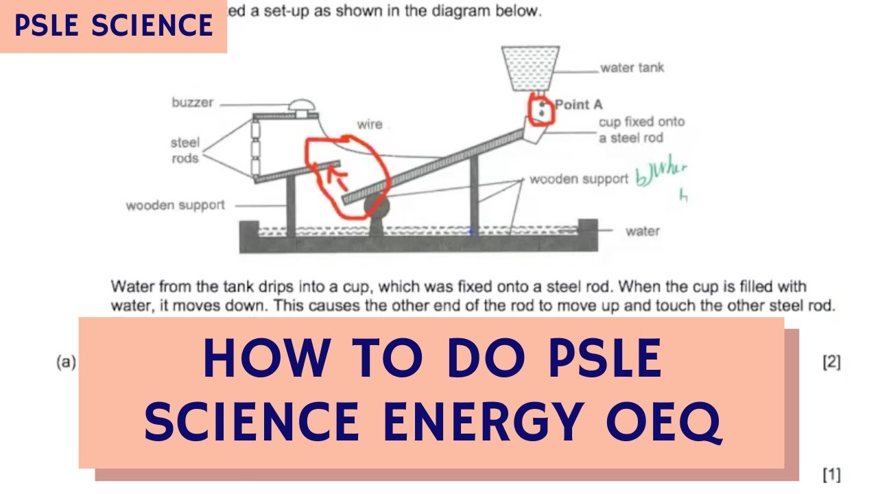 How to Tackle Energy Questions (TTA PSLE Science Ep 10) - YouTube