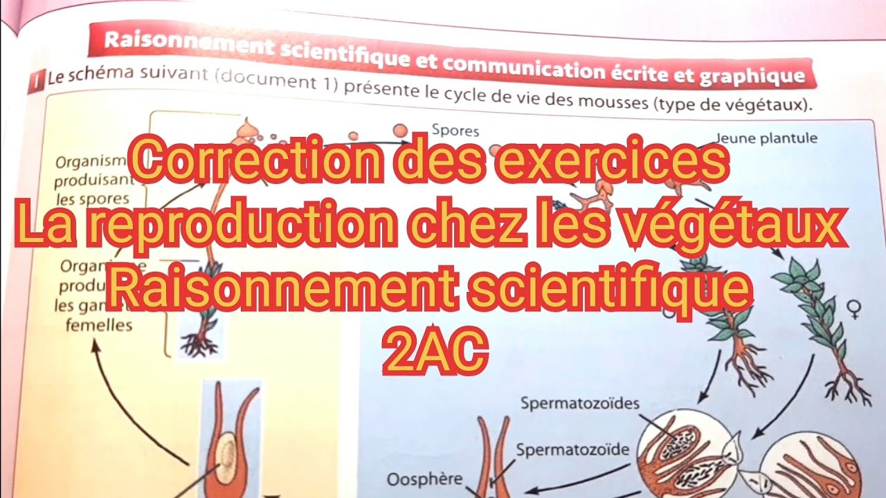Univers plus SVT 2AC P117 Correction des exercices d'évaluation La ...