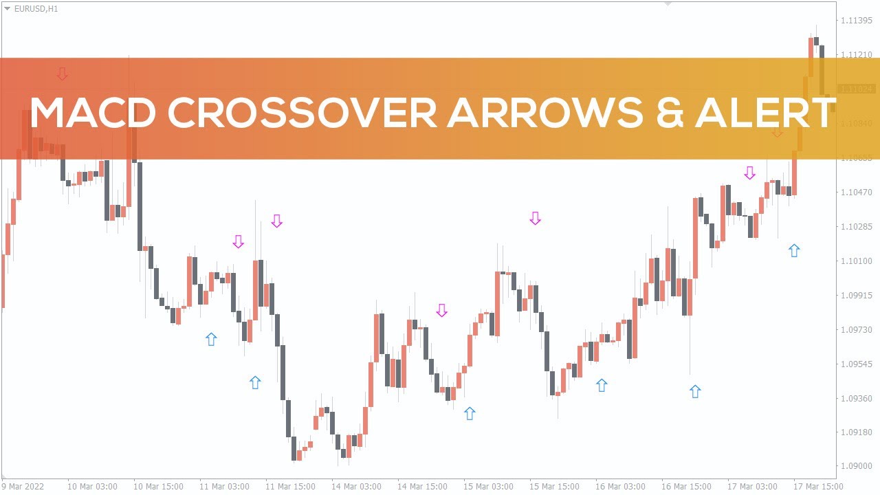 MACD Crossover Arrows & Alert Indicator for MT4 - FAST REVIEW - YouTube