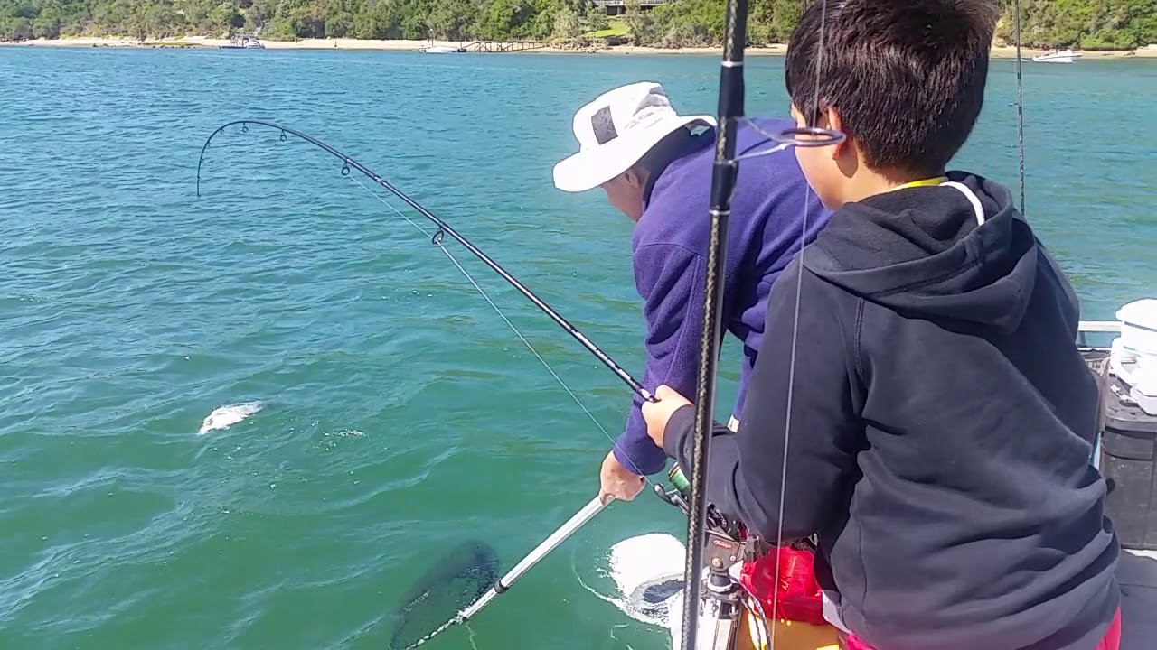 South Africa - JJ's Fishing Charters, Thesen Island, Knysna Lagoon ...