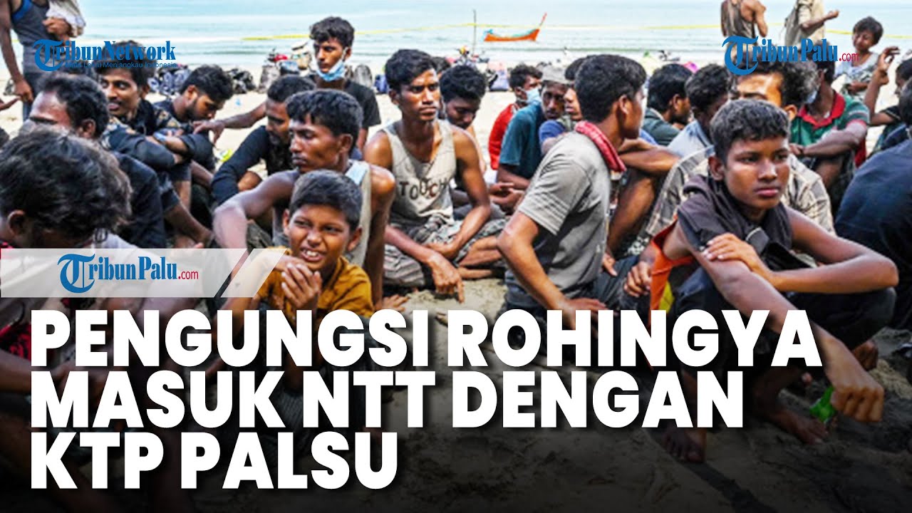 Viral Pengungsi Rohingya Masuk NTT dengan KTP Palsu, DPR: Bukti ...
