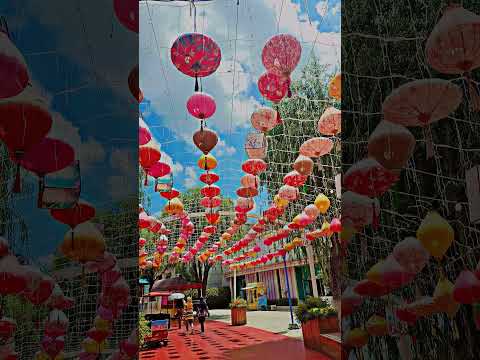 FANTAWILD 🏰🏯 #china 🇨🇳 #shorts #peace #beautiful #medico #summertime #shandong #taian