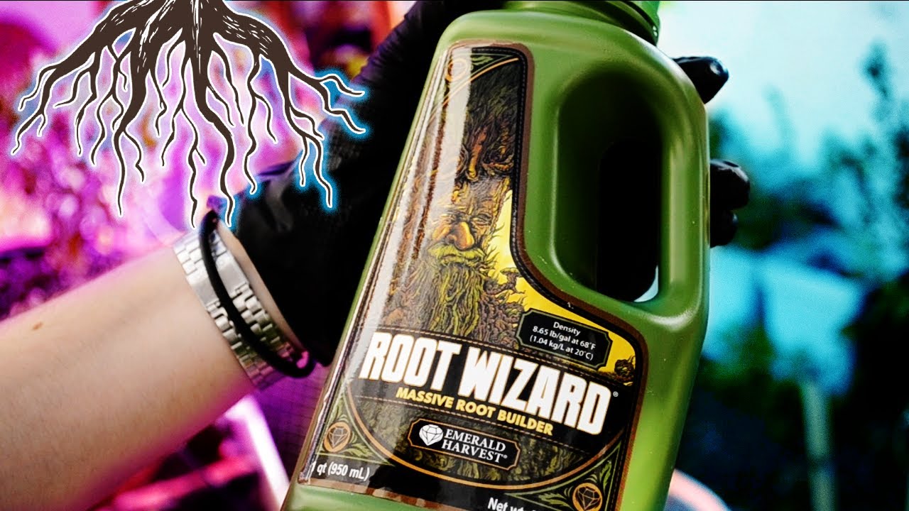 Root Wizard Emerald Harvest Estimulador de Raíces - YouTube