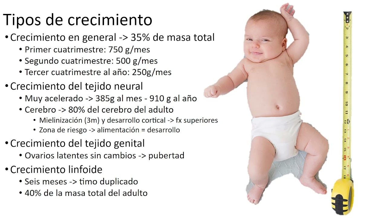 Crecimiento y desarrollo del lactante - YouTube