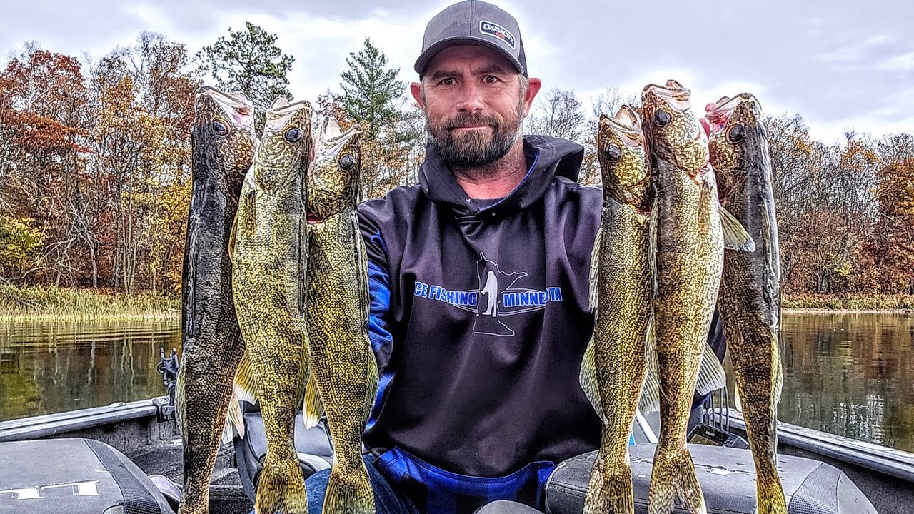Fishing Fall Walleyes in Minnesota (Limit) - YouTube