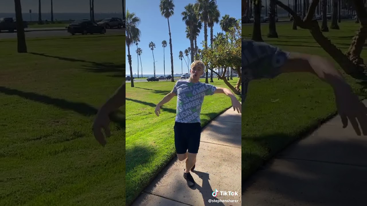 Stephen sharer tik tok - YouTube