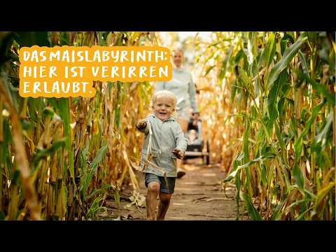 Das Maislabyrinth - Verlaufen ausdrücklich erlaubt.