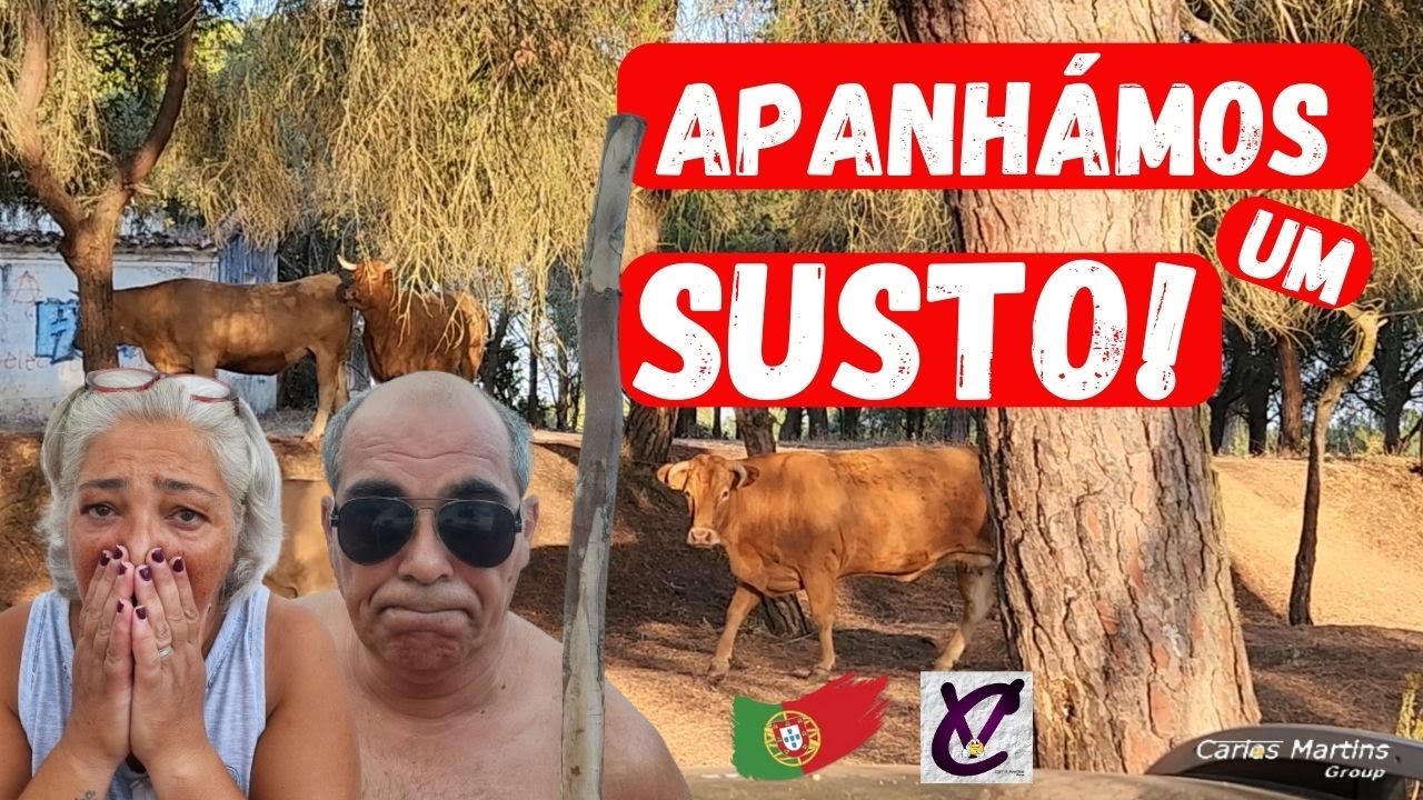 Albufeira da Barragem do Facho - YouTube