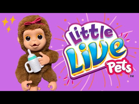 Little Live Pets My Baby Monkey Mango 🐵 🍌 #littlelivepets