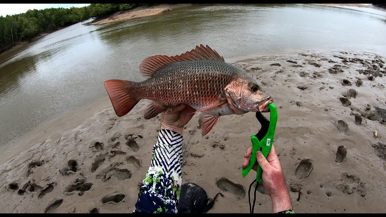 Barramundi fishing land based Darwin Northern Territory Pt 2 - YouTube