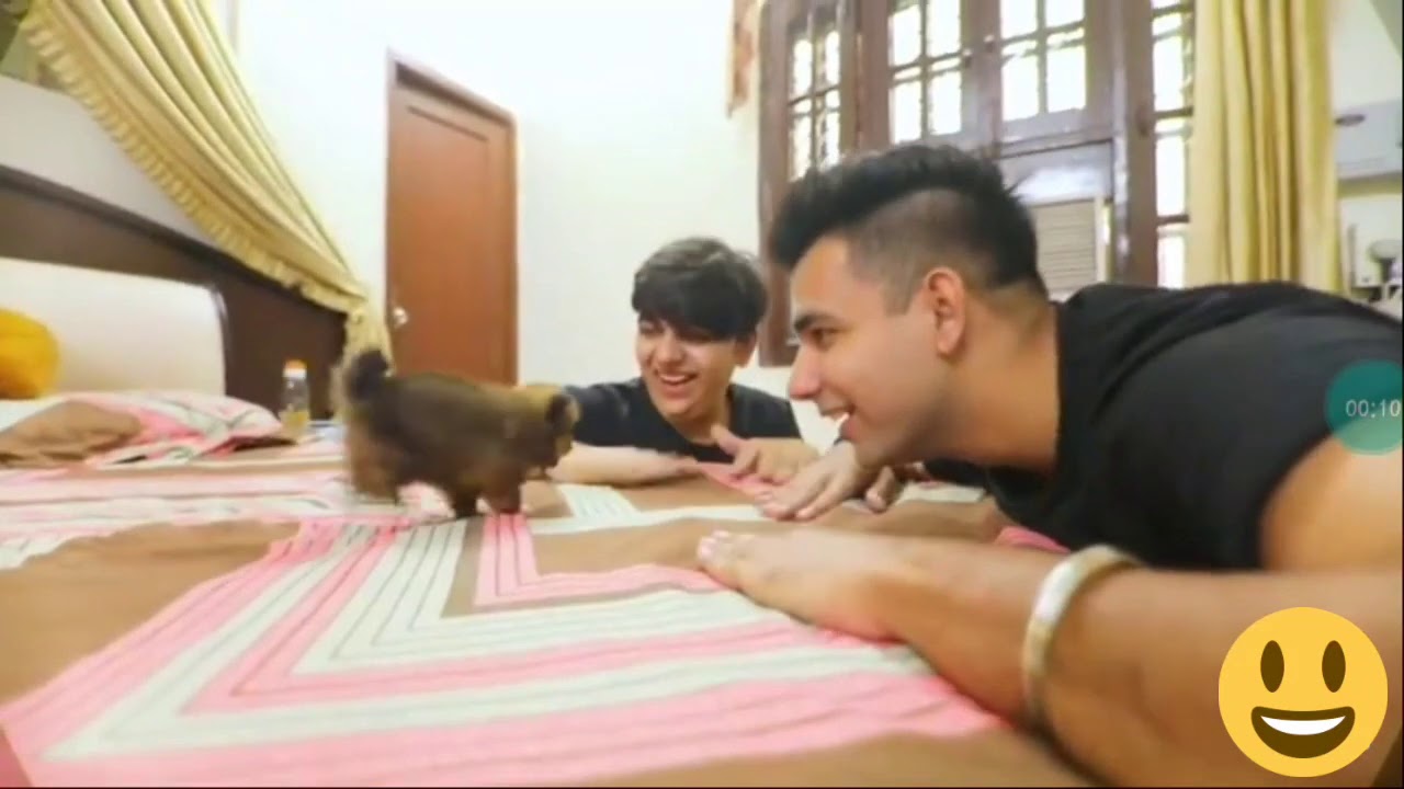 Fudge playing with Diksha,Sanjay,Rishidev - YouTube