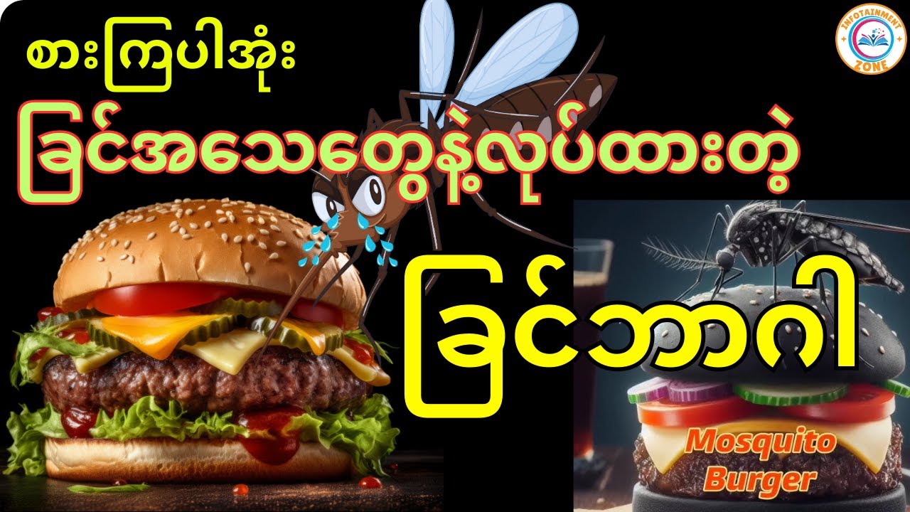 Mosquito burger - YouTube
