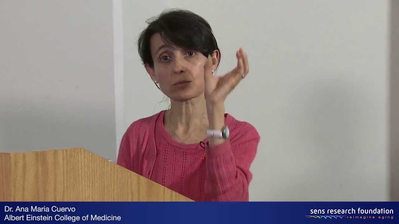 Autophagy and Intracellular Aggregates - Dr. Ana Maria Cuervo - YouTube