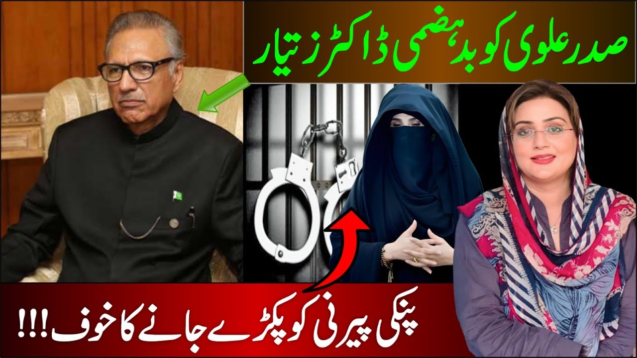 President alvi ready for adventure and audio of pinki perni and zulfi ...