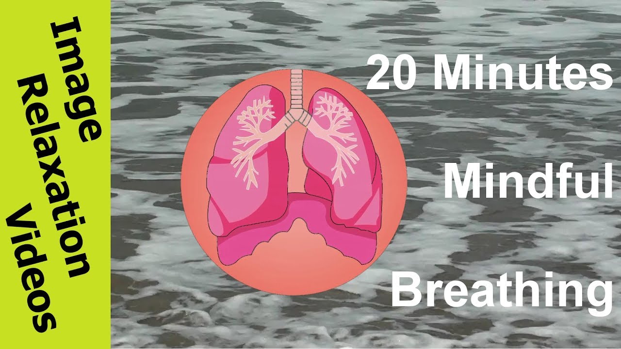 Guided 20 Minute Mindfulness Breathing Exercise By Ocean Waves - Male ...