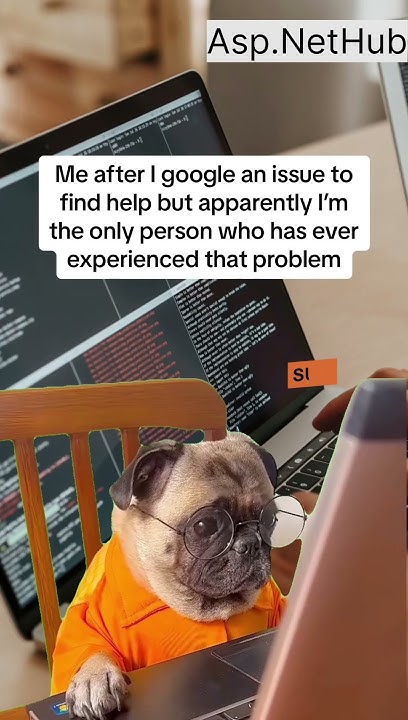 Interesting Meme Programminglife Shorts Trending Viral K Codingmeme Thuglife Chatgpt