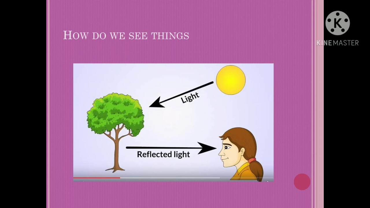 7th STANDARD SCIENCE CHAPTER LIGHT YouTube 7th-standard-science-chapter-light-youtube