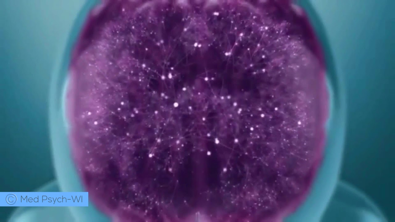 ADHD I Underdeveloped Prefrontal Cortex - YouTube