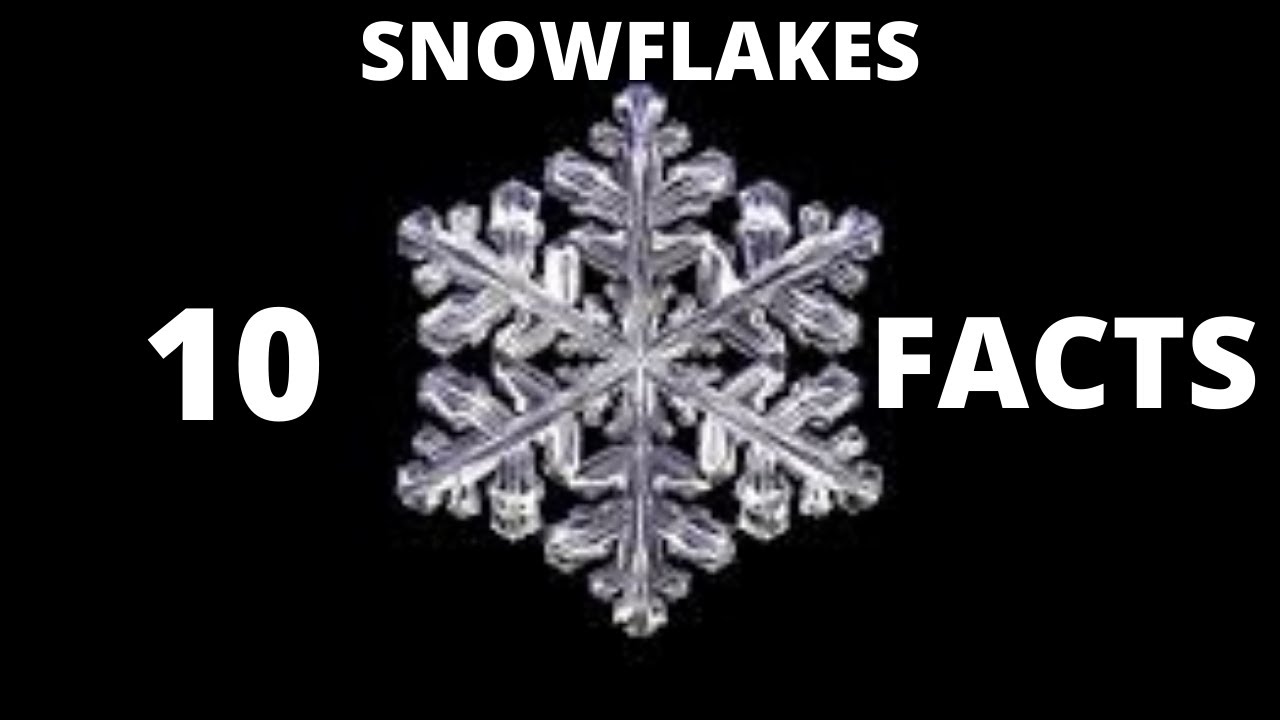 10 FACTS ABOUT SNOWFLAKES || SNOWFALKES FACTS || AMAZING FACTS ABOUT ...