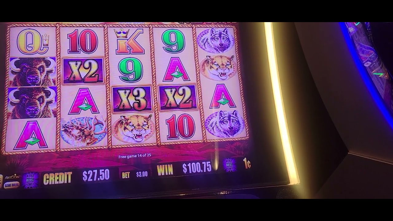 buffalo gold slot machine - YouTube