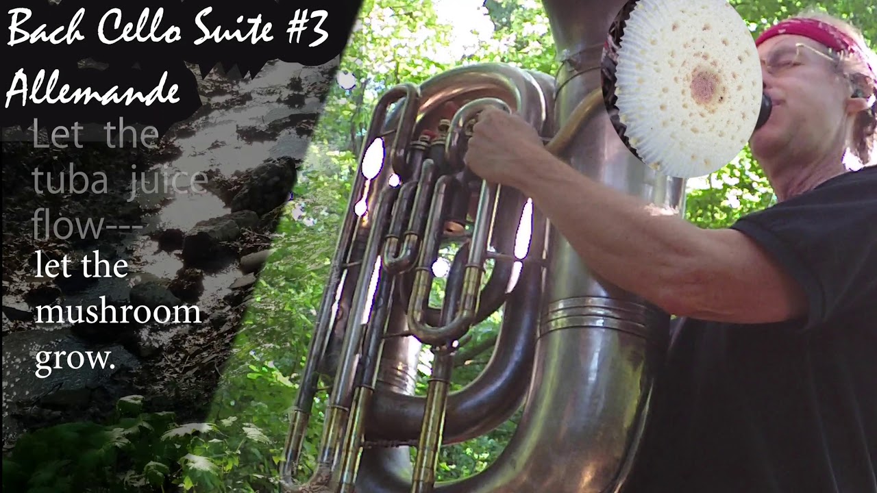 Bach Cello Suite (Bellow Cheek) #3, Allemande, Sublime Tuba Birdbath; w ...