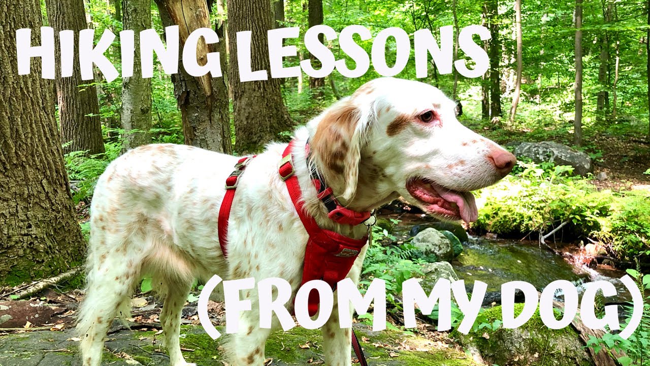 Hiking Life/Lessons from the Trail - YouTube