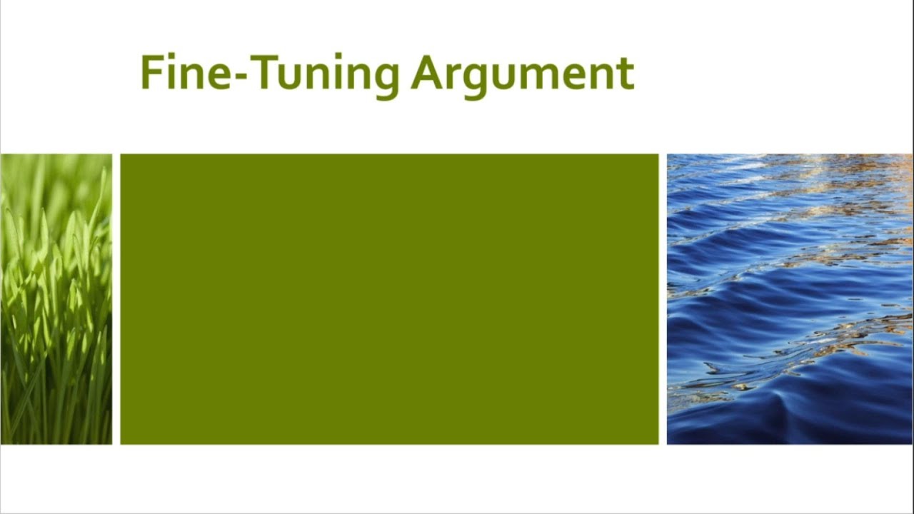 E4: Is There Anyone Out There? -- The Fine-Tuning Argument - YouTube