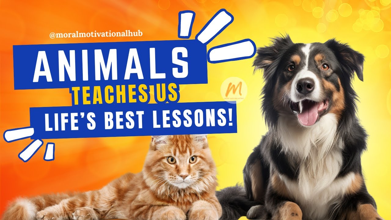 Animals Teach Us Life’s Best Lessons! 🐾 Discover the Joy They Bring ...