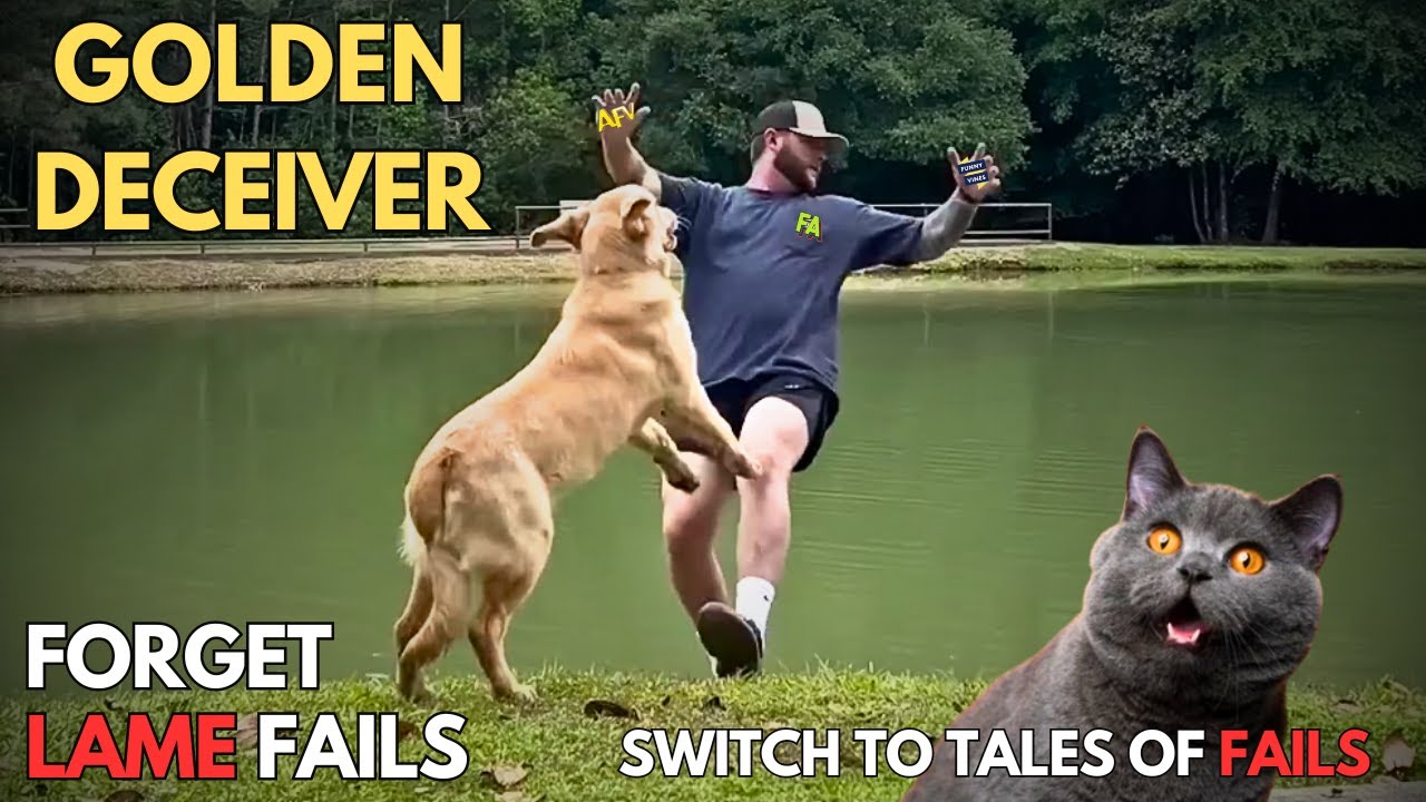 Punny and Funny Fails of the Week | Narrated Reactions | Golden ...