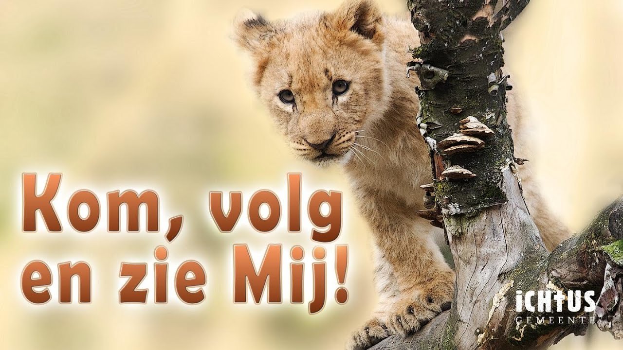 kom-volg-en-zie-mij-jan-barendse-youtube