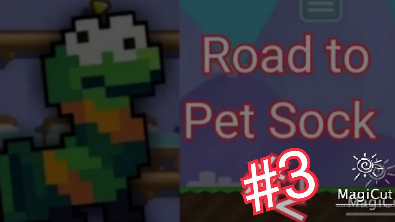 Trying to find Pet Sock in Growtopia - YouTube