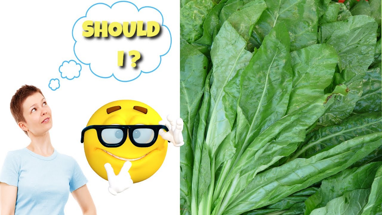 7 Incredible Health Benefits of Eating Vegetables - YouTube