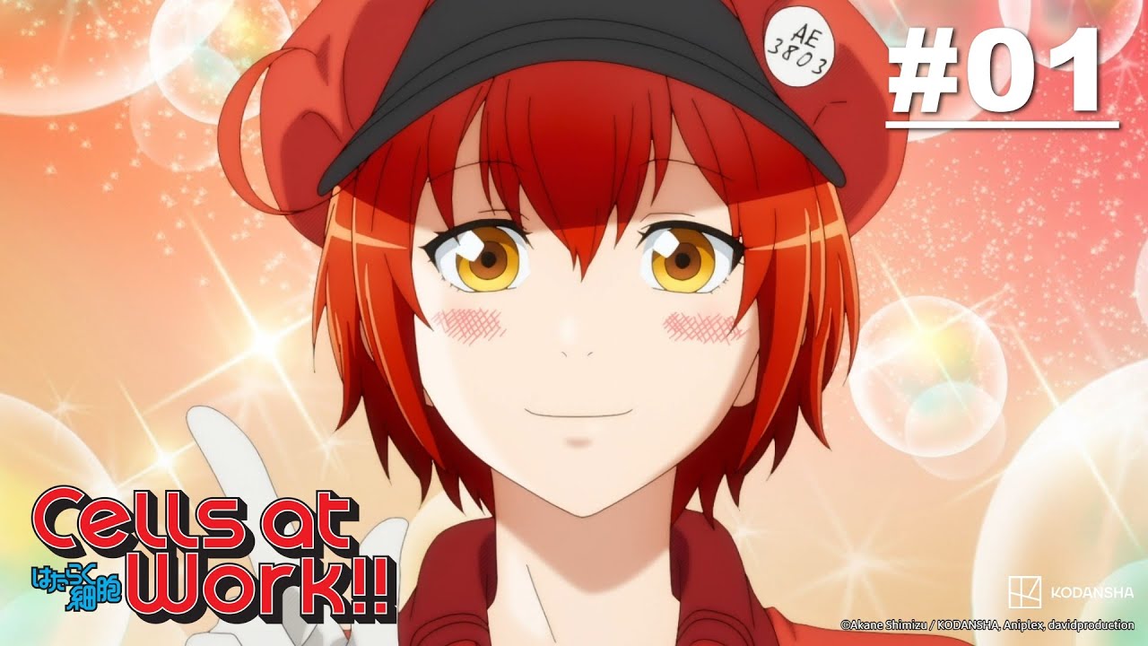 Cells at Work!! (S2) - Episode 01 [EN Sub]｜Muse PH - YouTube