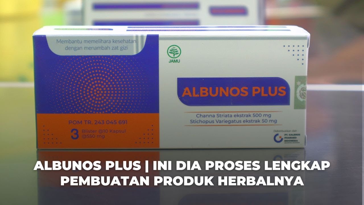 ALBUNOS PLUS | Ini dia Proses Lengkap Pembuatan Produk Herbalnya - YouTube