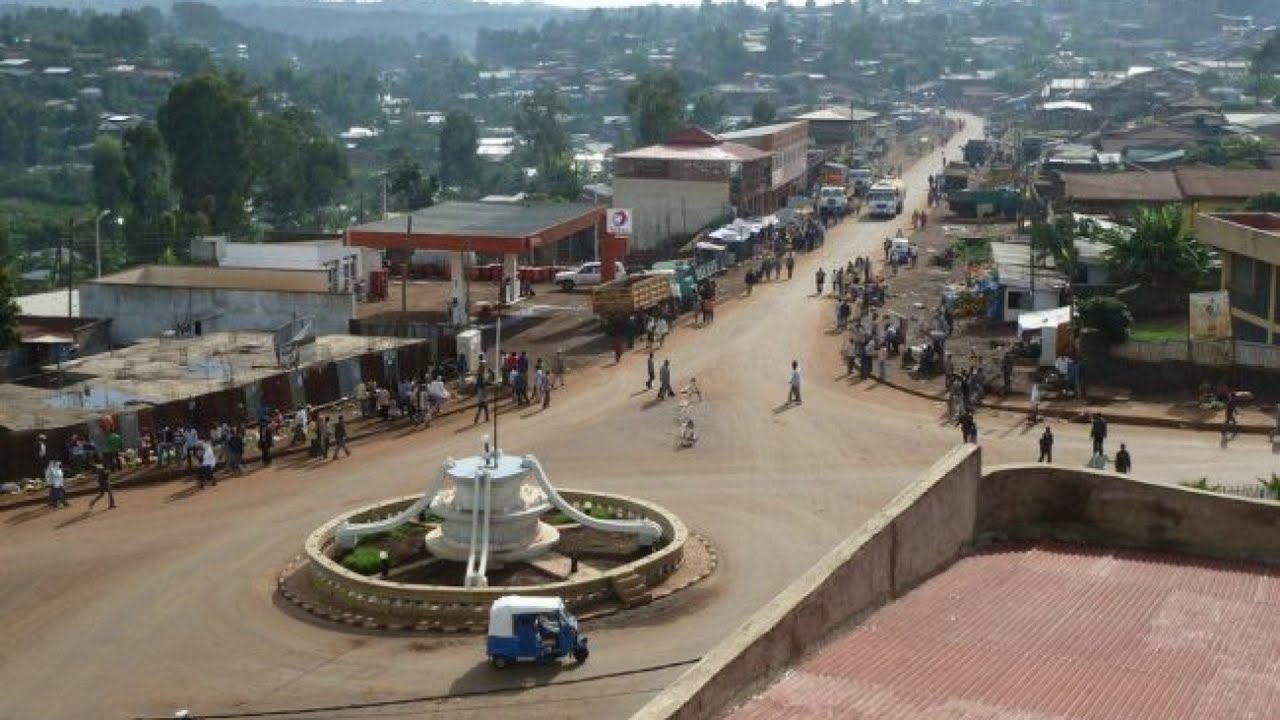 Gurmuu Eegdota Warraaqsa Oromiyaa jedhamu keessaa namni tokko QBO’n to ...