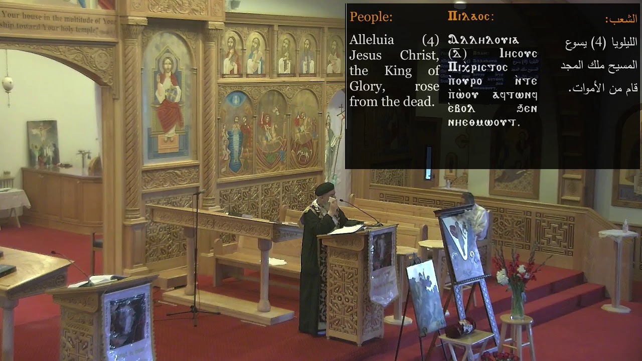 St. George Seattle Live Stream - YouTube