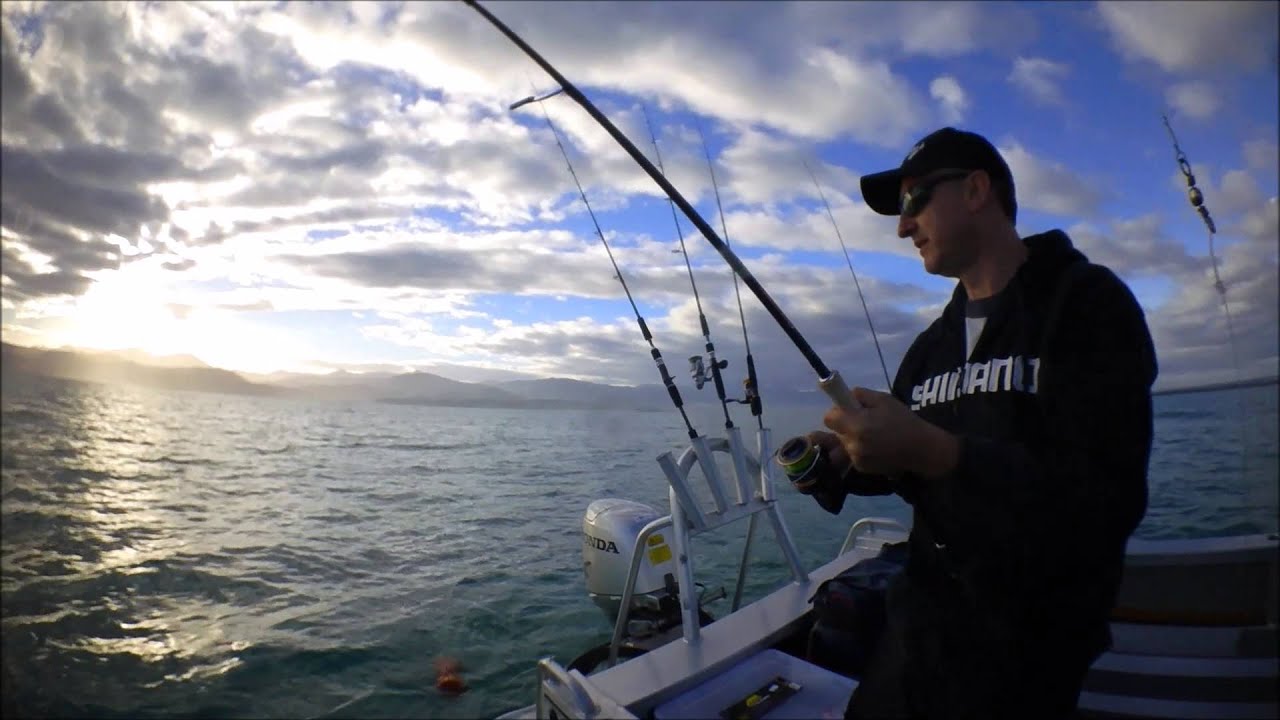 Nelson Bay Snapper - YouTube